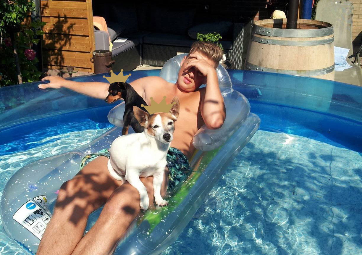 Dieren van de Week: Marley en Rakker uit Tilburg