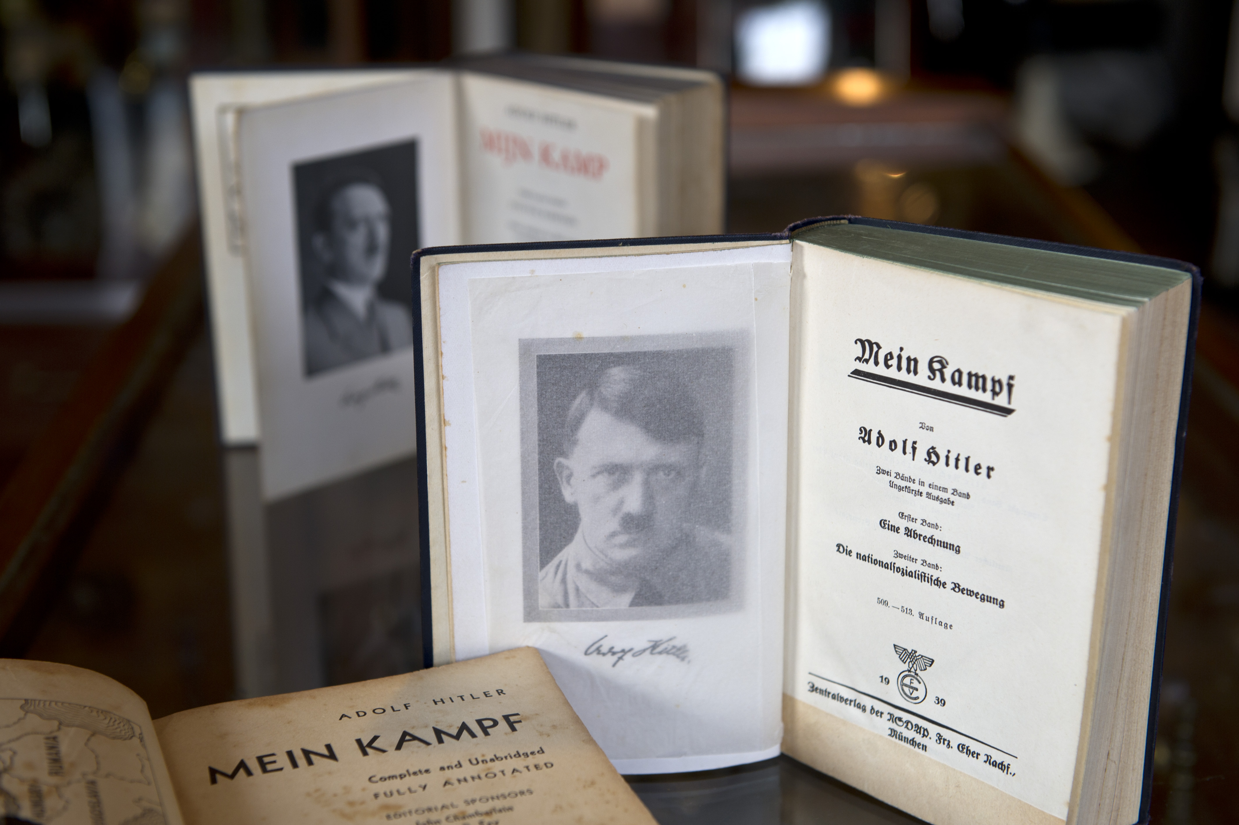Hitlers Mein Kampf verkocht als kunst?