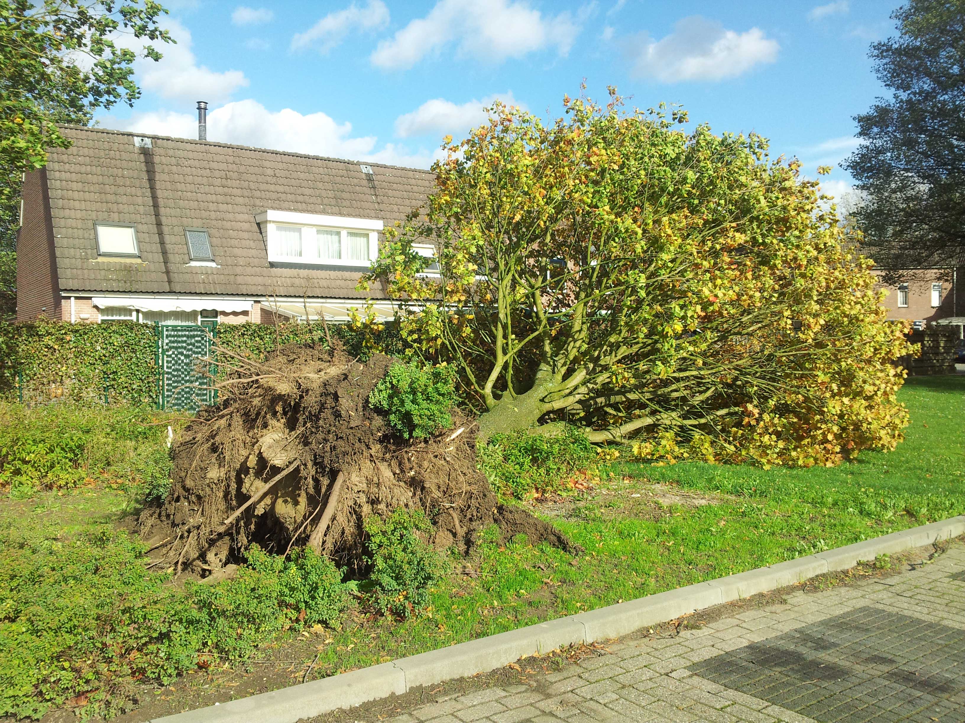 Alleen nog code rood in noorden en westen
