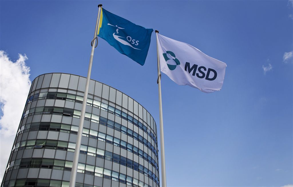 MSD schrapt 140 banen in Oss