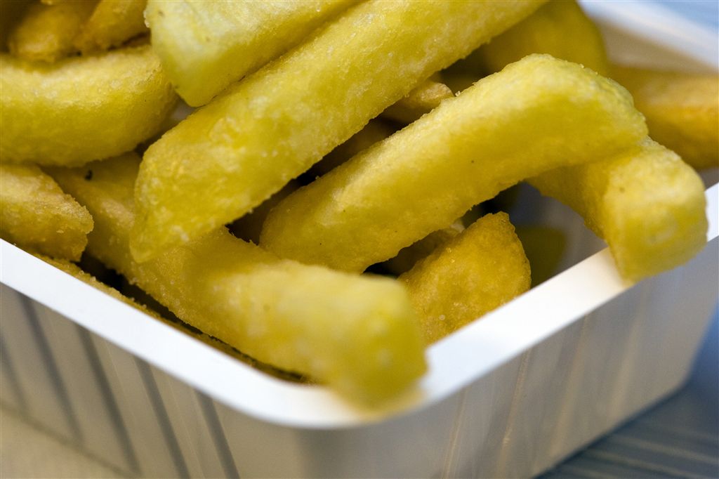 Nederland grootste frietverkoper in Europa