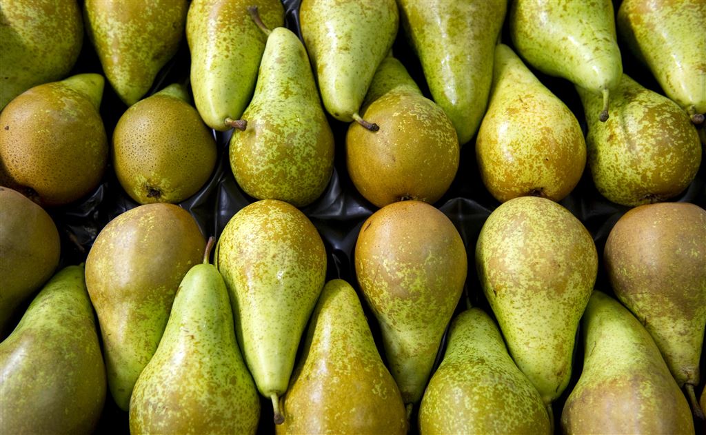 Nederlands bedrijf maakt perencider van misvormde peren