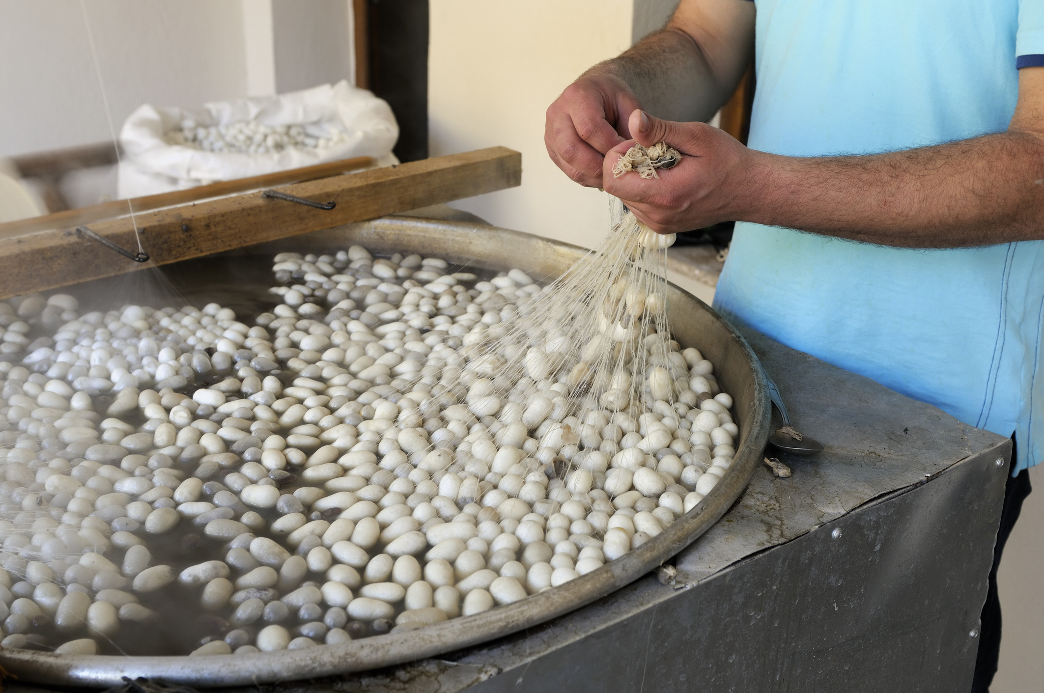 Hoe een spin en rups de edele delen van soldaten gaan beschermen