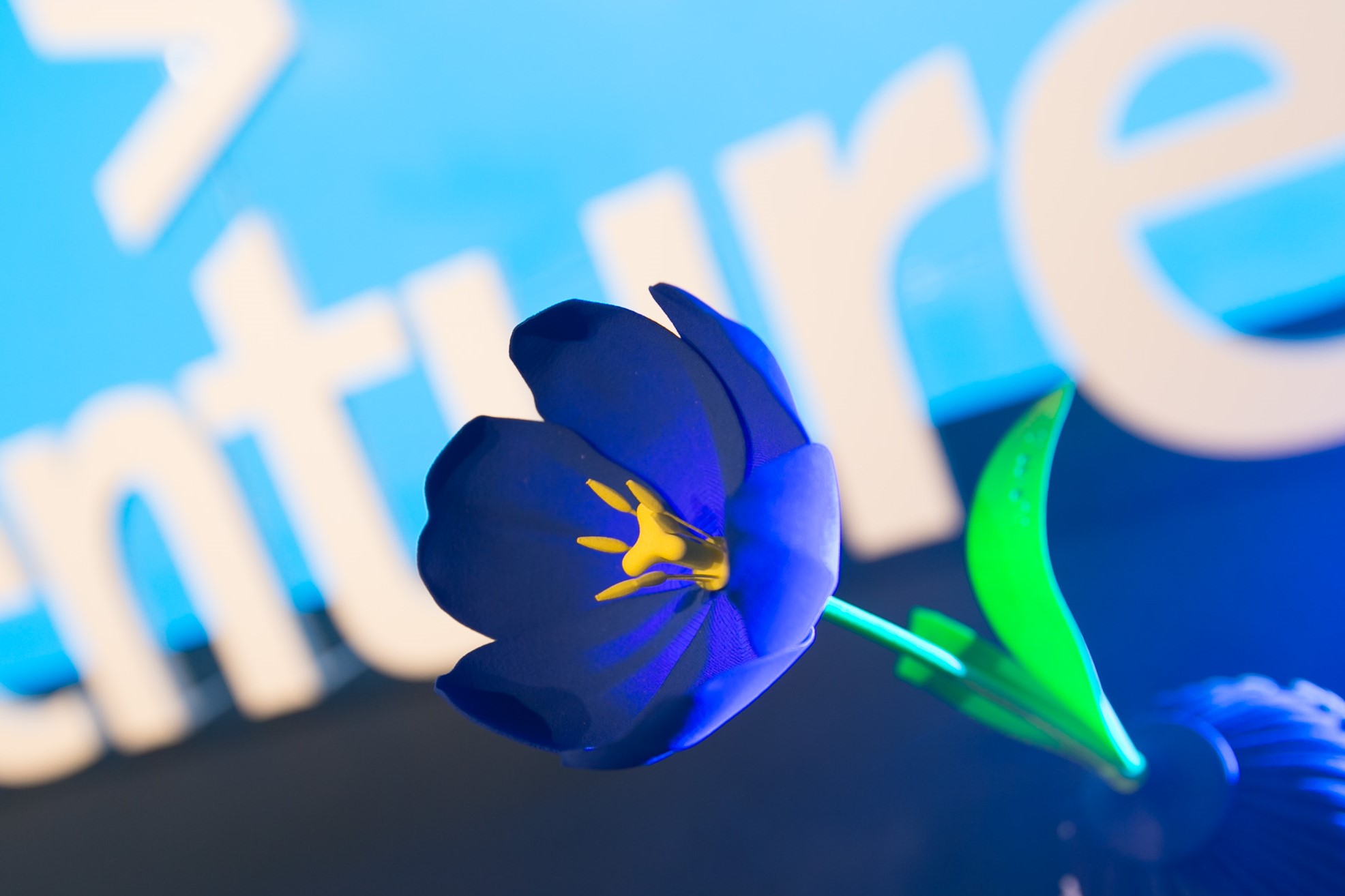 De blauwe tulp als hét symbool voor innovatie