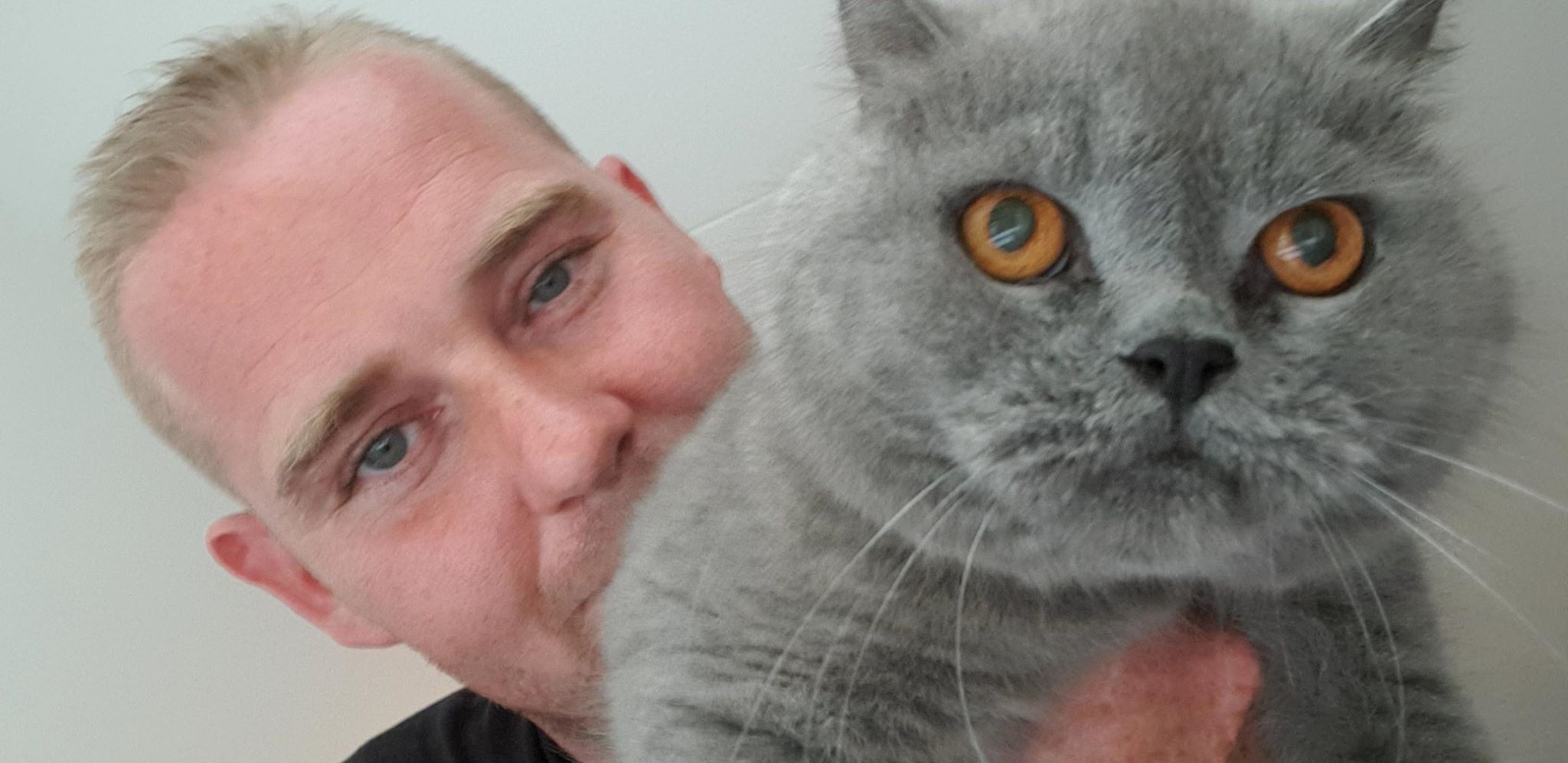 Poepende buurkatten maken veel los: 'Ik lok ze in een val'