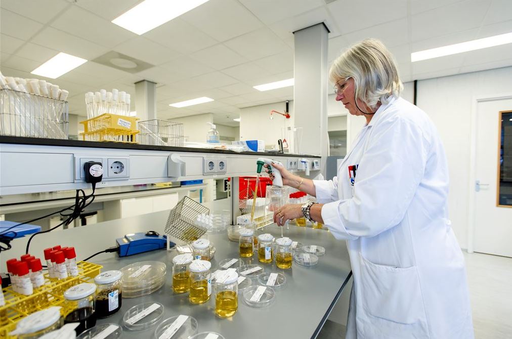 Prima resultaten van DSM en goede vooruitzichten