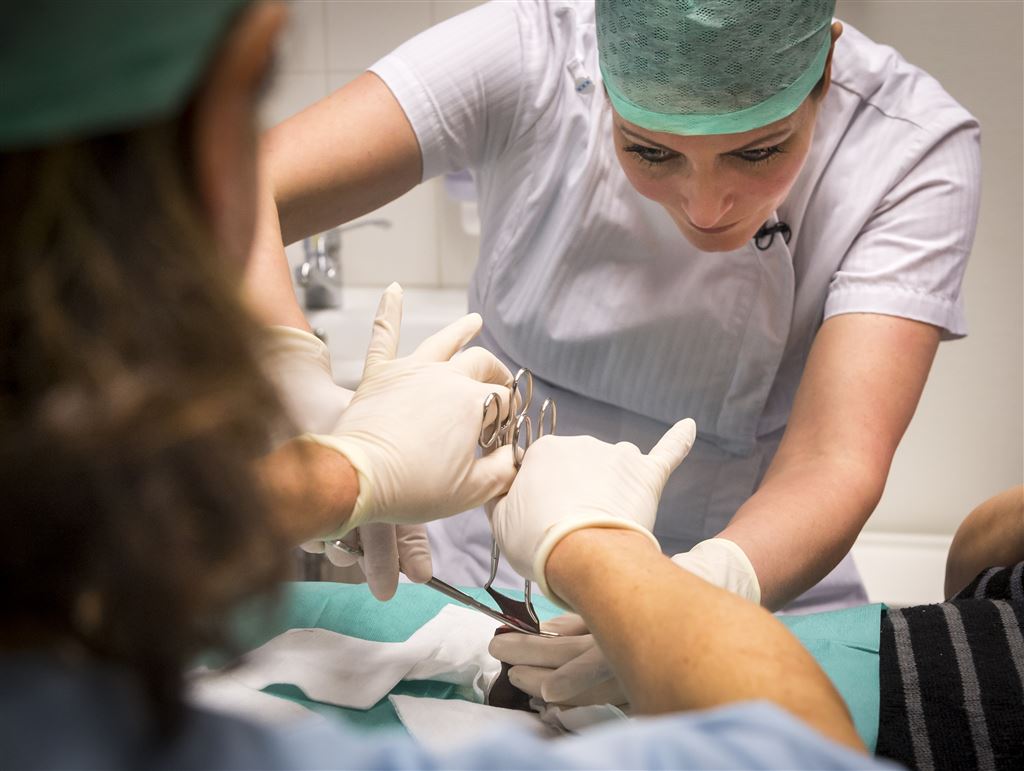 IJsland bespreekt verbod op besnijden jongens