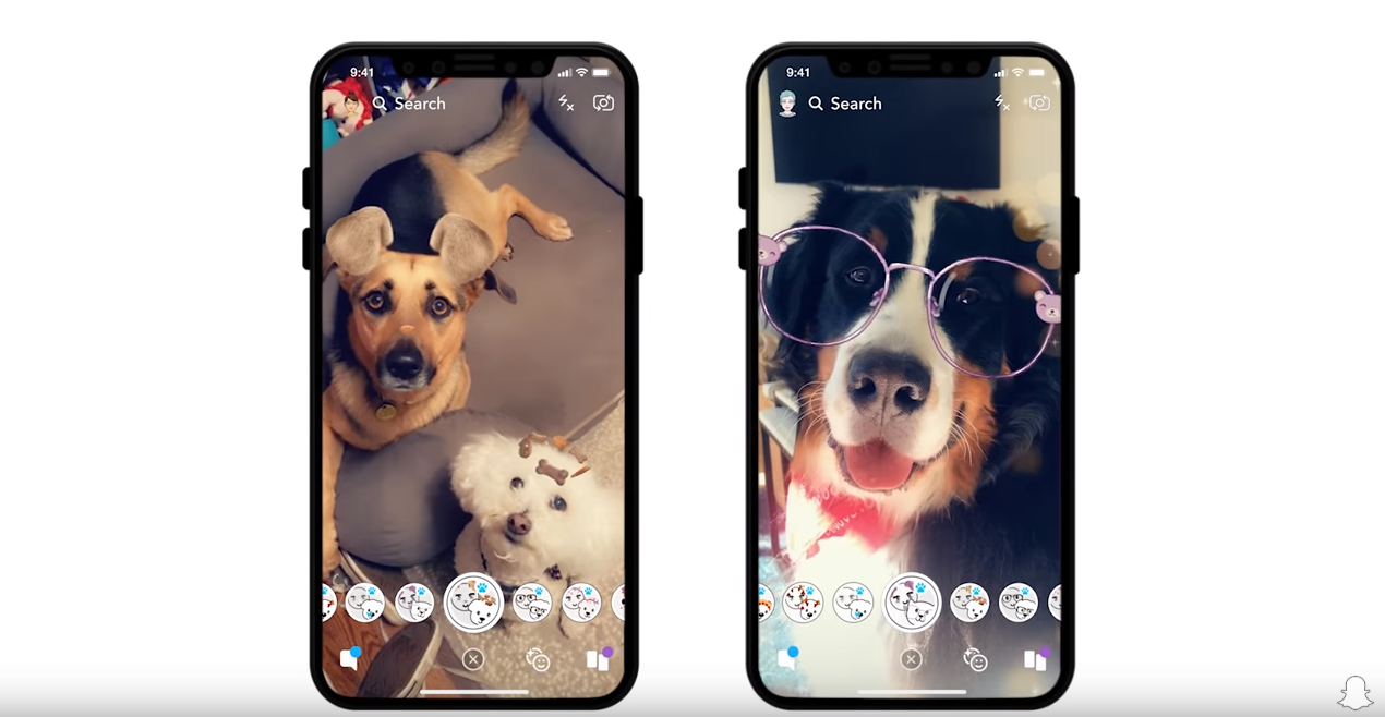 Na Snapkat nu ook Snaphond: gezichtsfilters voor honden op Snapchat