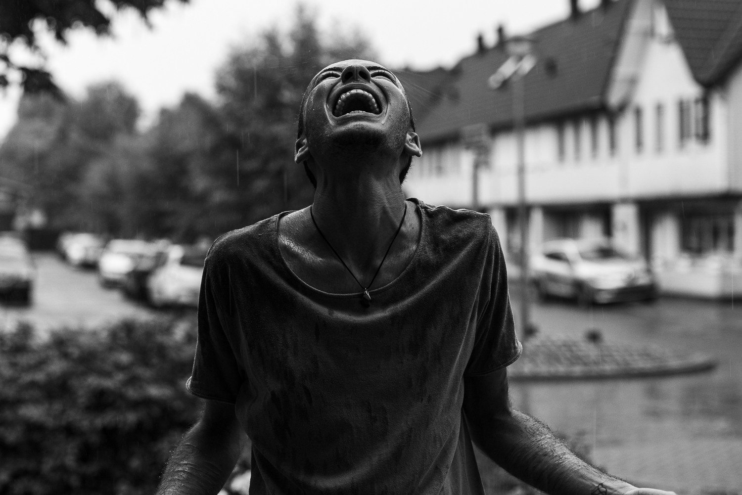 Marvel Harris: een intiem portret