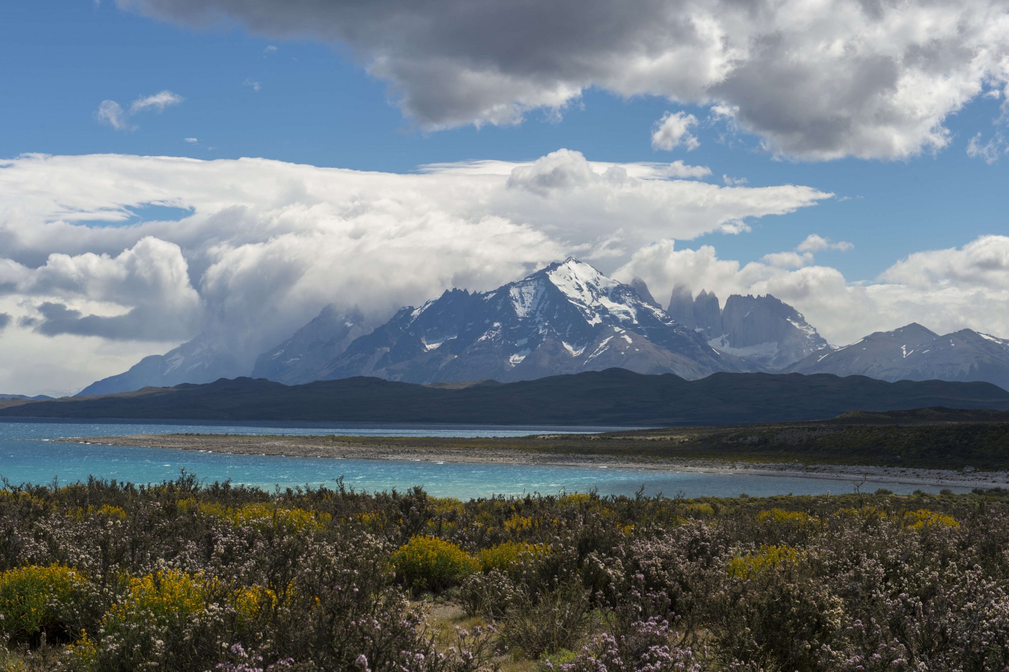 Enorm olielek treft Chileens natuurgebied Patagonië | RTL Nieuws | RTL.nl