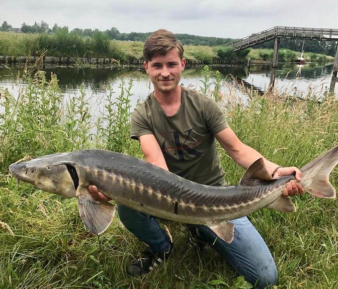 Komt de Europese steur terug naar Nederland? 'Duurt decennia'