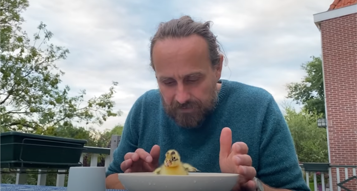 Alwyn broedt eendenei uit met zijn eigen lichaam