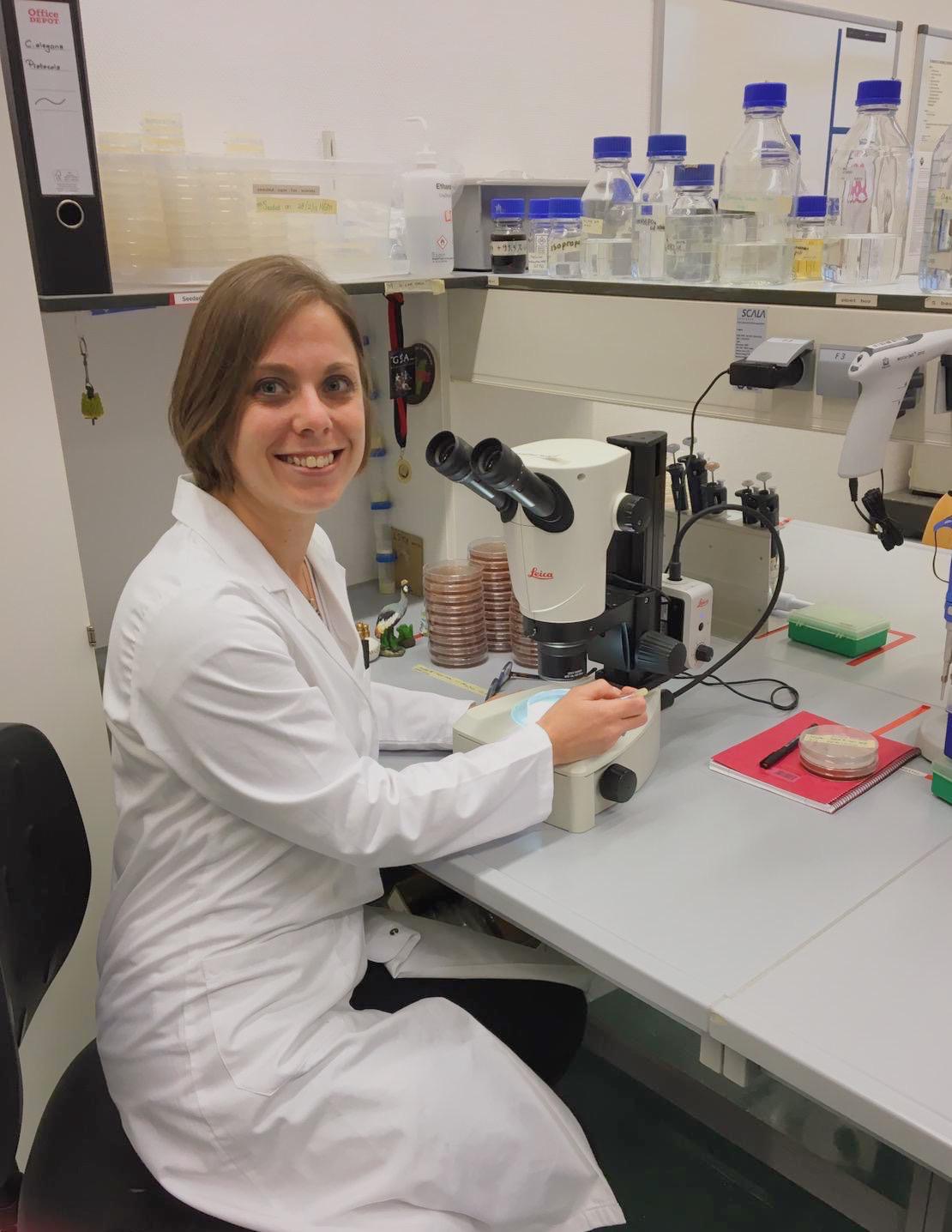 Geen apen of muizen als proefdieren, maar doorzichtige wormpjes: 'Ze ...