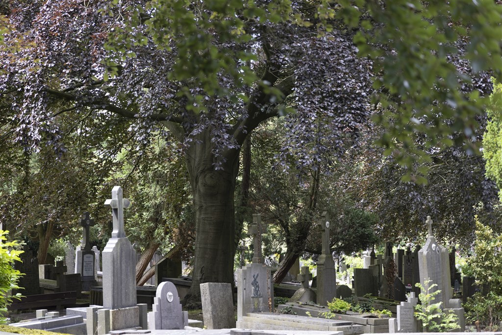 Een op de acht sterfgevallen vorig jaar het gevolg van corona