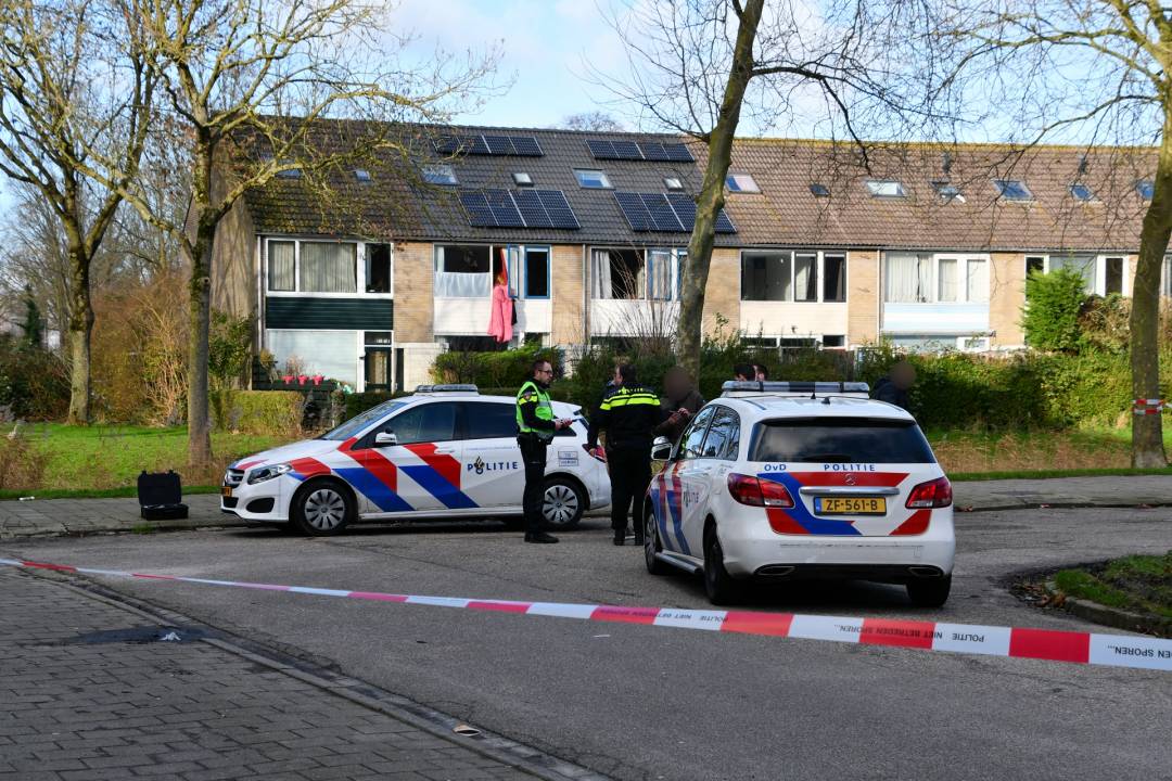Minderjarige broers veroordeeld voor doodsteken Tim van der Steen (15)