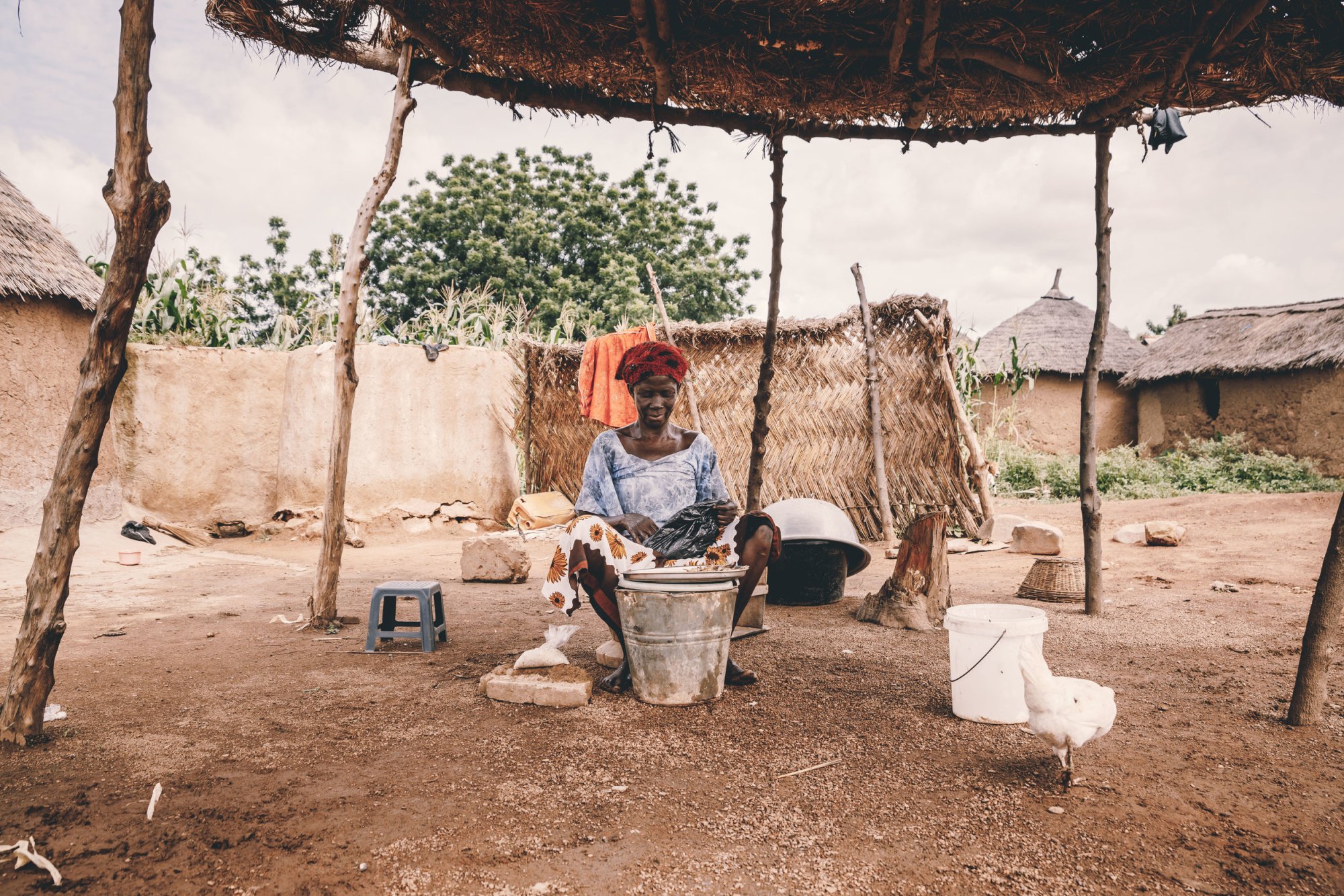 Eeuwenoude graansoorten gamechanger voor honger in Afrika: 'Win-win-win ...