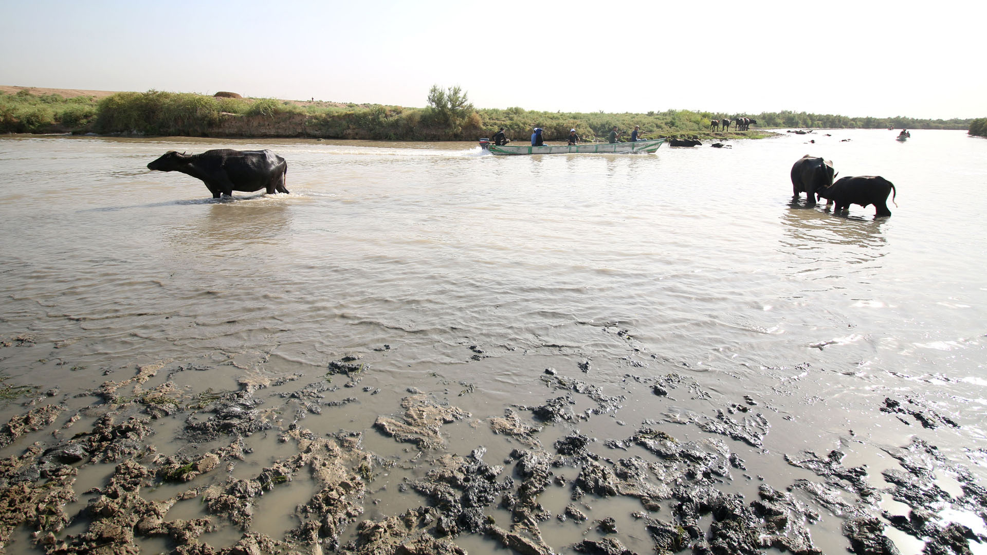 Unesco-werelderfgoed in problemen: zo ziet klimaatverandering in Irak eruit