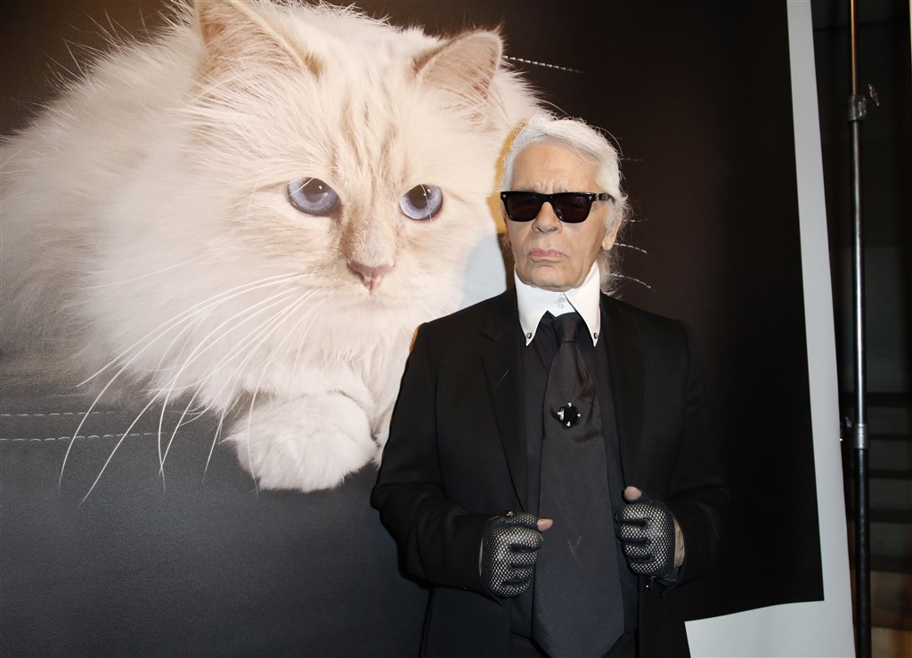 Choupette, poes van overleden Karl Lagerfeld, ondanks uitnodiging niet ...