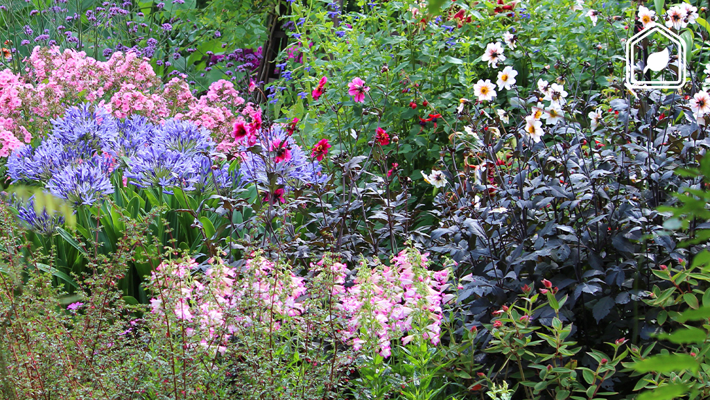 8 prachtige planten voor een tuin met veel wind