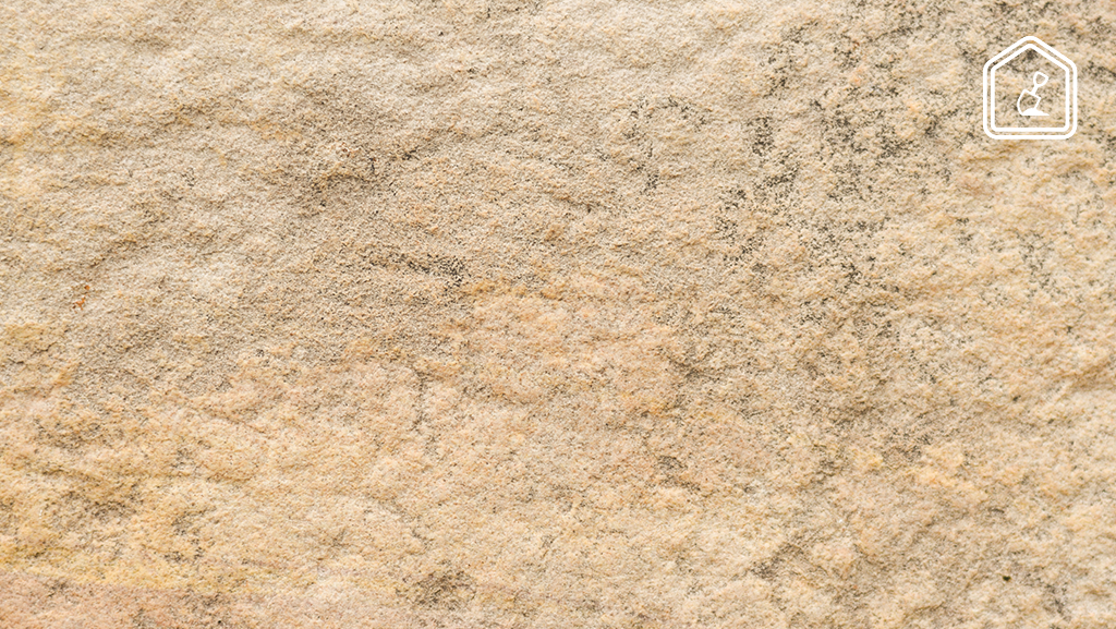 Alles wat je moet weten over tuinieren op zandgrond