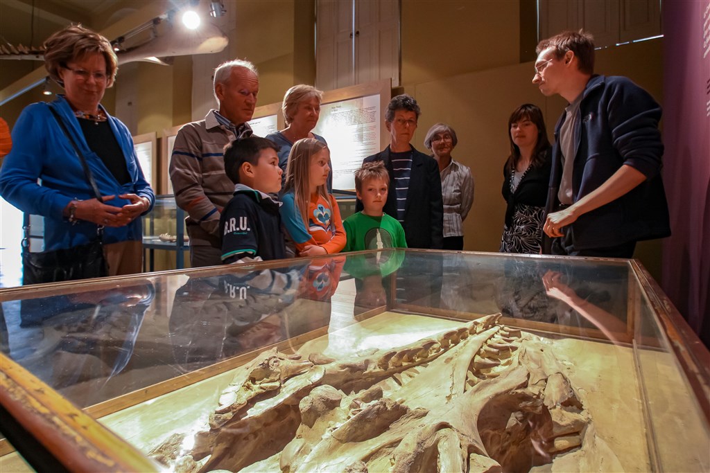 Maastricht wil zijn mosasaurus terug, die sinds 1795 in Parijs ligt