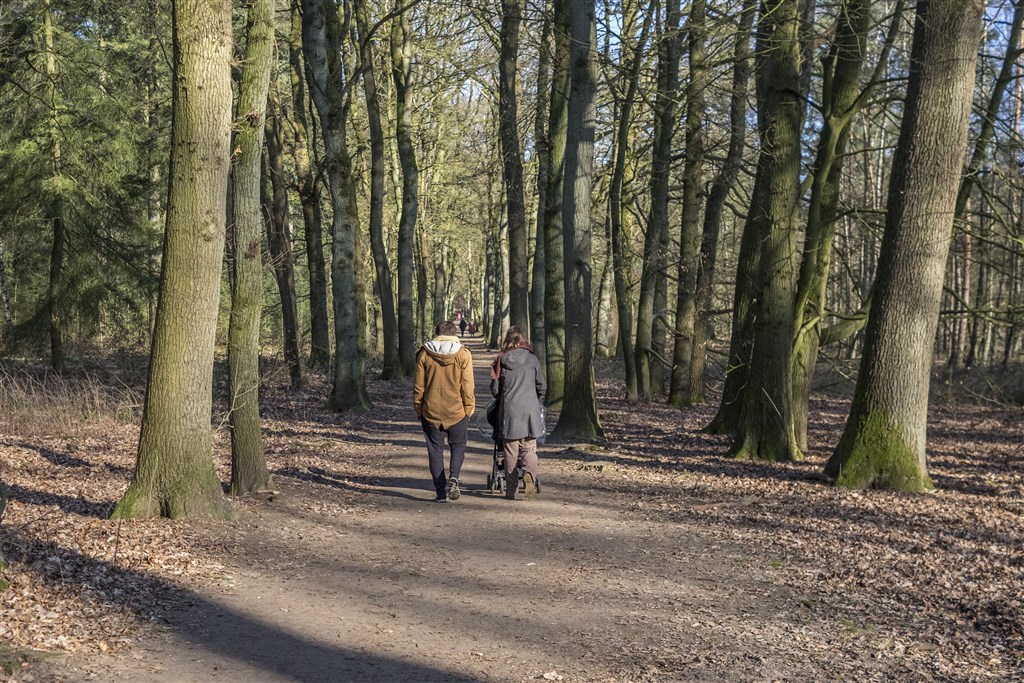 Wordt het lenteweer? 'Er komen zachte dagen aan, met meer zon'