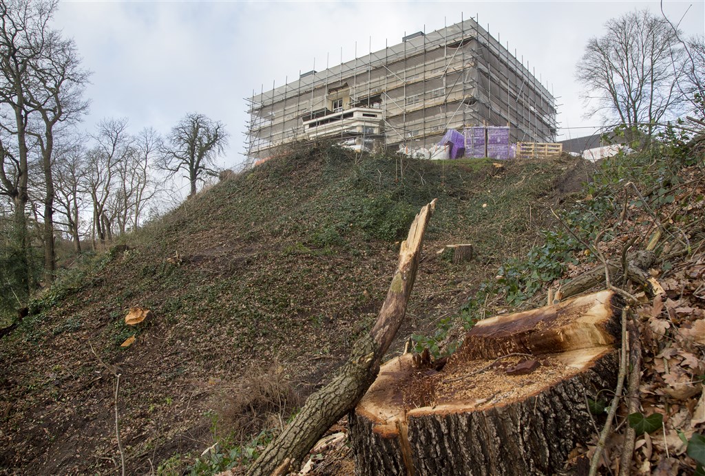 Twintig bomen gekapt, 380.000 euro boete: projectontwikkelaar moet dokken
