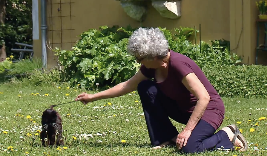 Verdrietig nieuws voor Anja uit B&B Vol Liefde: poes Piet overleden