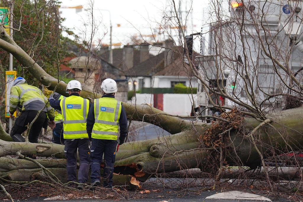 Man omgekomen in Ierland door storm Éowyn: boom valt op zijn auto
