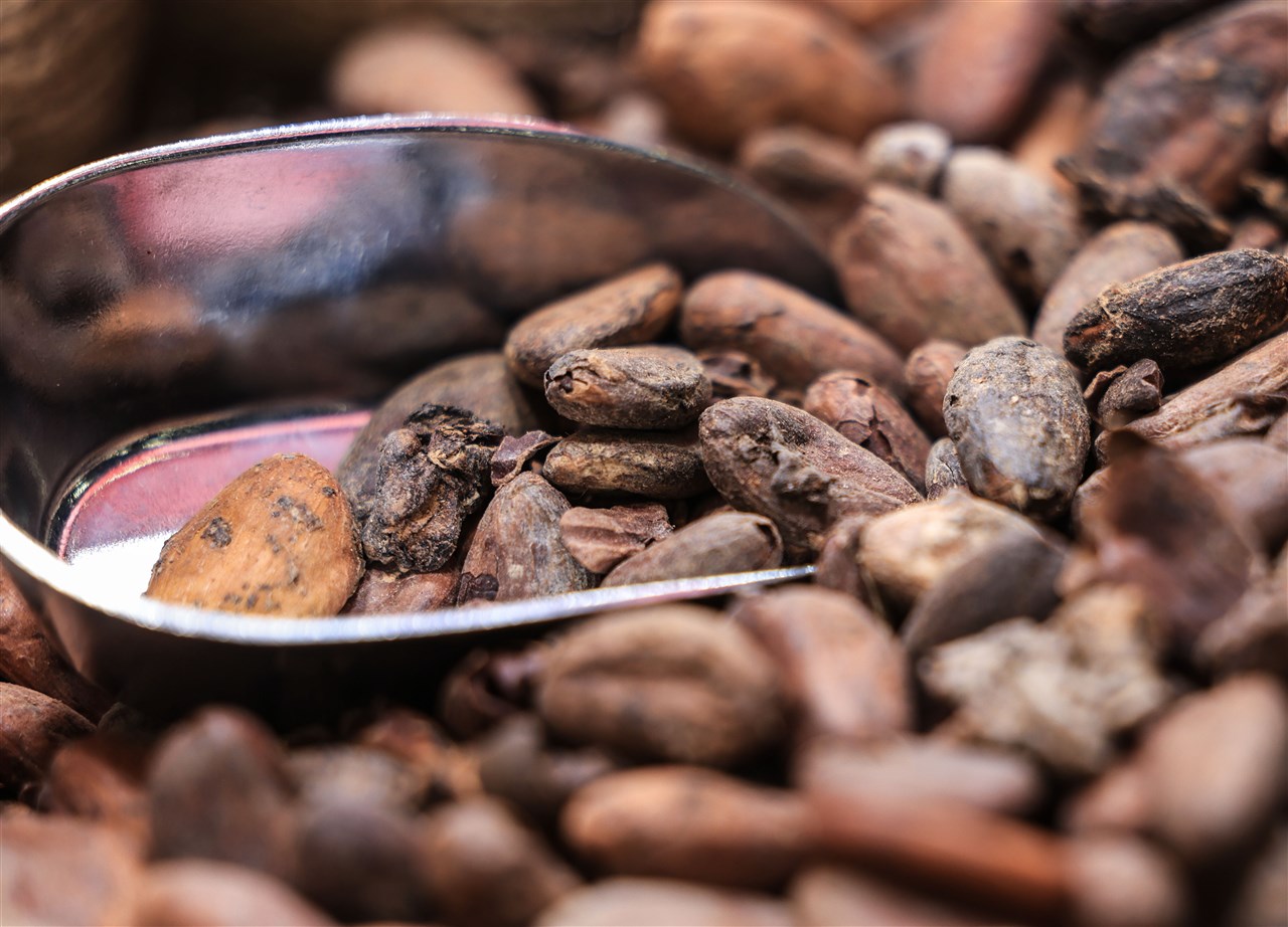 Chocolade wordt alsmaar duurder, en klimaatverandering draagt daaraan bij