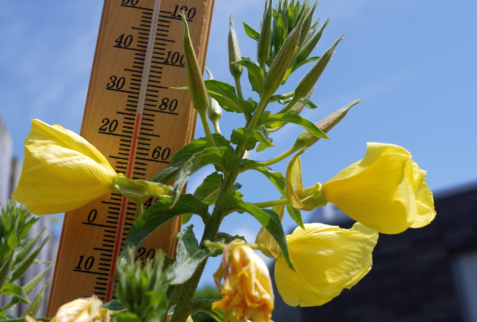 Volop zon en temperaturen ruim boven de 20 graden