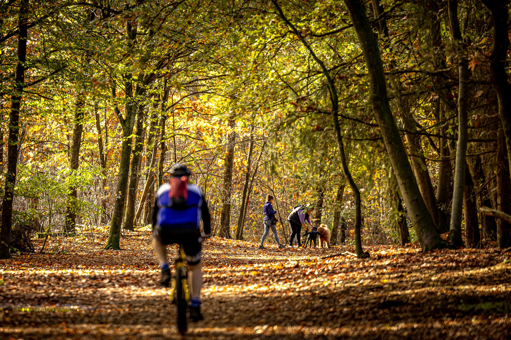 Stabiel en zonnig herfstweer zet door in Nederland