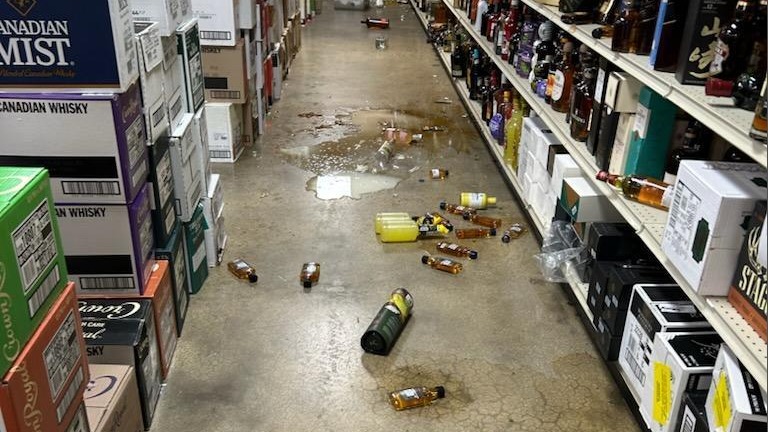 Wasbeer laat ravage achter in slijterij, slaapt roes uit in toilet