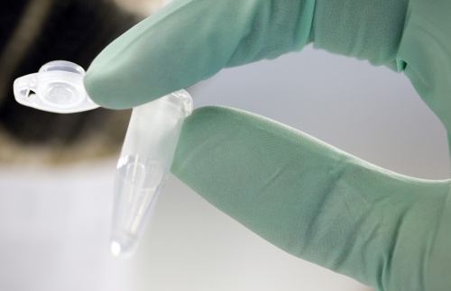 Pharming onderzoekt werking Ruconest