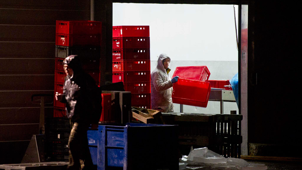 Paardenvleesverwerker Willy Selten failliet verklaard