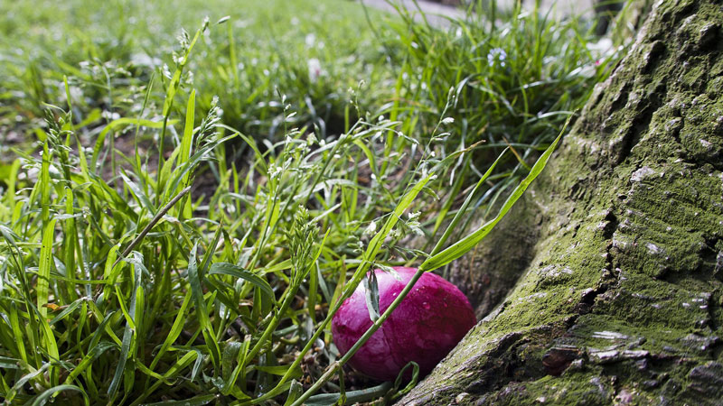 Wereldrecord paaseieren rapen in Brussel
